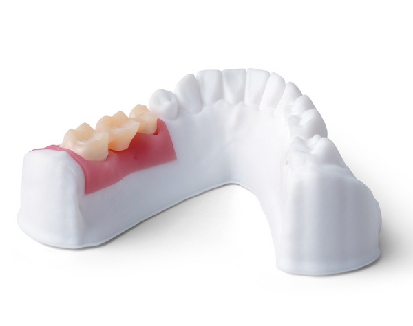 Phrozen Gingiva Mask Resin - 500G– Ultimate 3D Printing Store