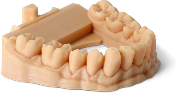 Phrozen Dental Model Resin - Water Washable - 1KG– Ultimate 3D Printing ...