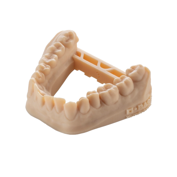 BASF - Ultracur3D DM 2505 - Dental Model Beige– Ultimate 3D Printing Store